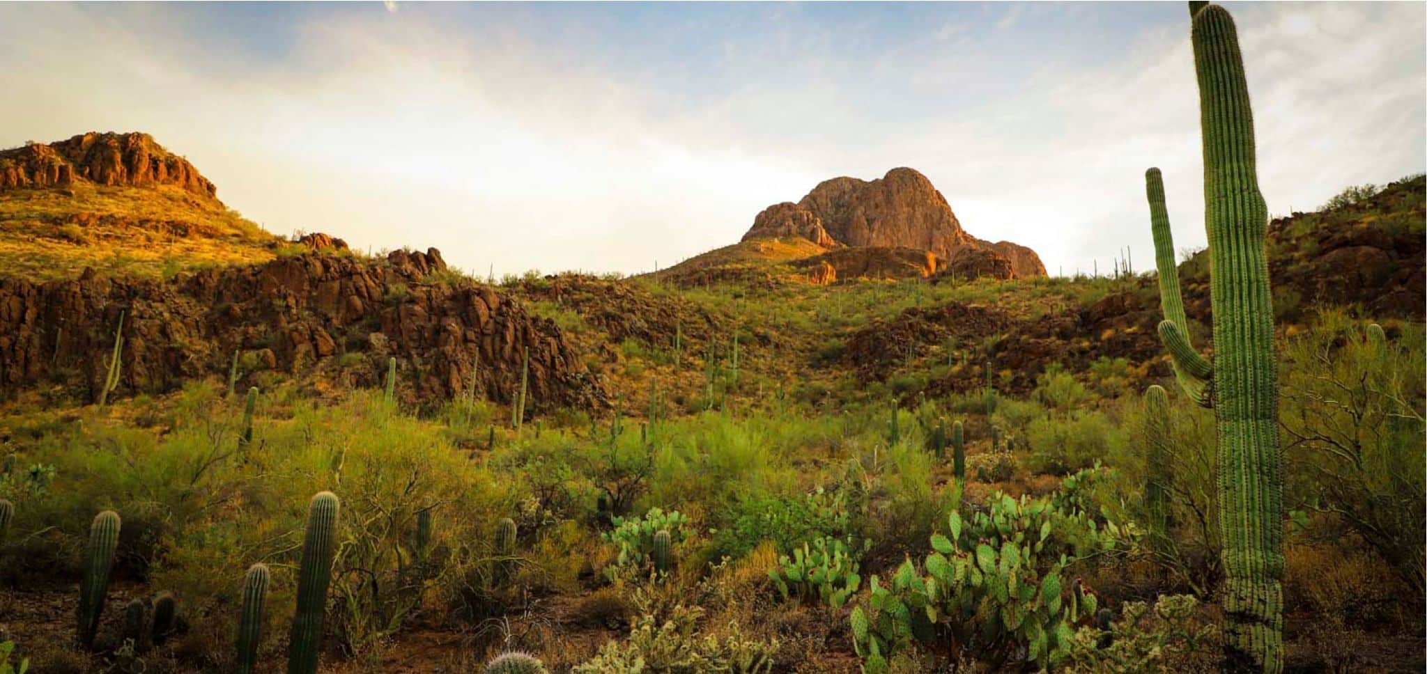 Apache Junction Manufactured Homes & RV Stays | Rock Shadows